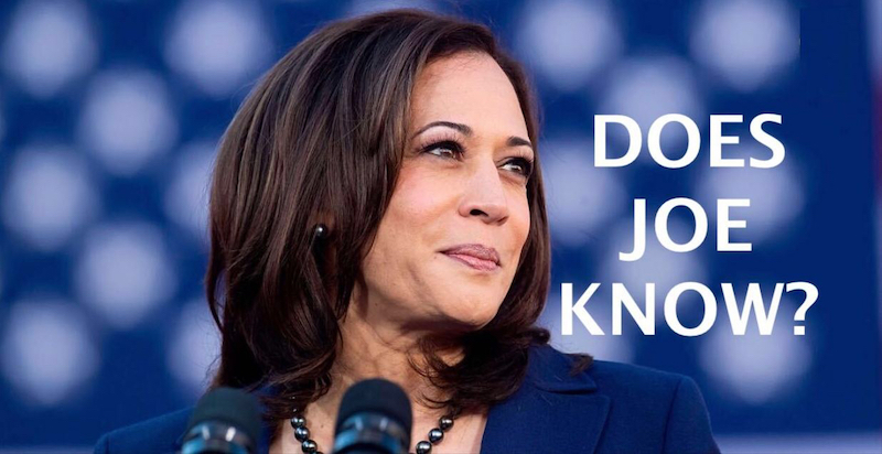 DOES JOE KNOW? ~ Opinion - C-VINE Network